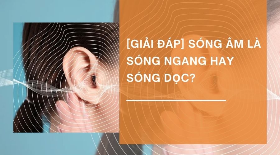 [Giải đáp] Sóng âm là sóng ngang hay sóng dọc? Tân Phát